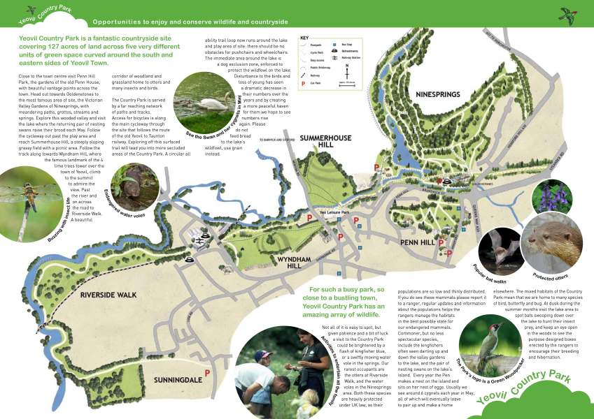 In search of Yeovil Country Park, Part 2 – Alastair Swinnerton